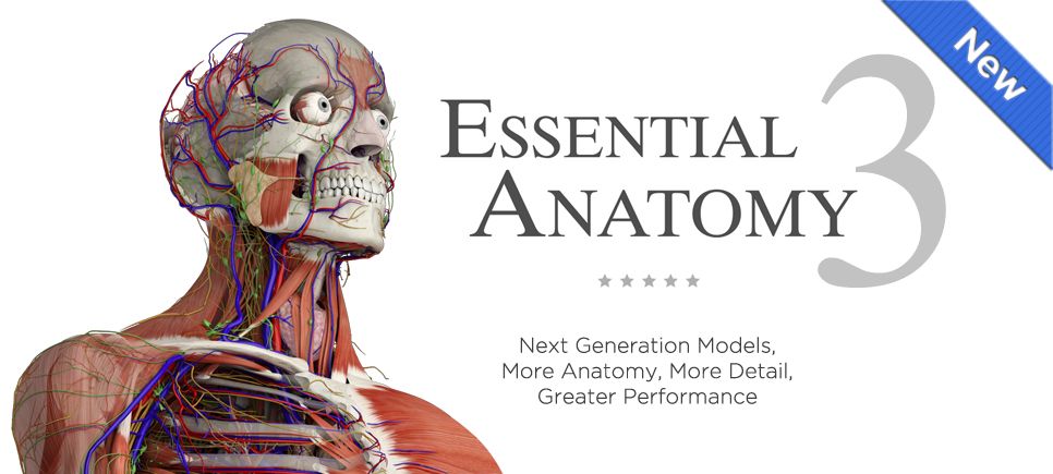 Essential Anatomy 3: ecco la migliore app per conoscere e studiare ...